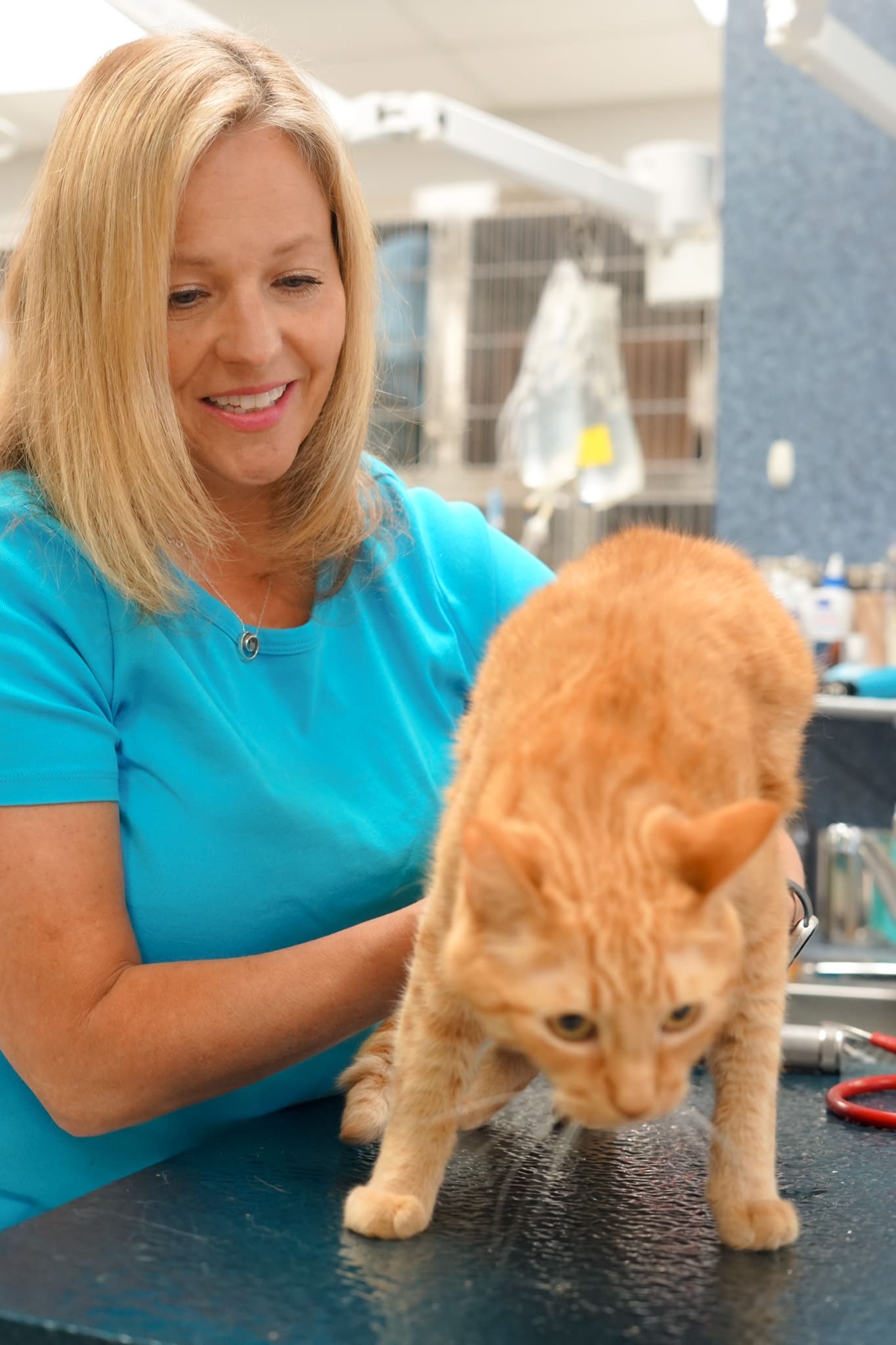 Sand Springs Small Animal Hospital